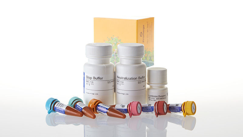 Medical research assay kit - Uptake-Glo™ - Promega France - for cancers ...