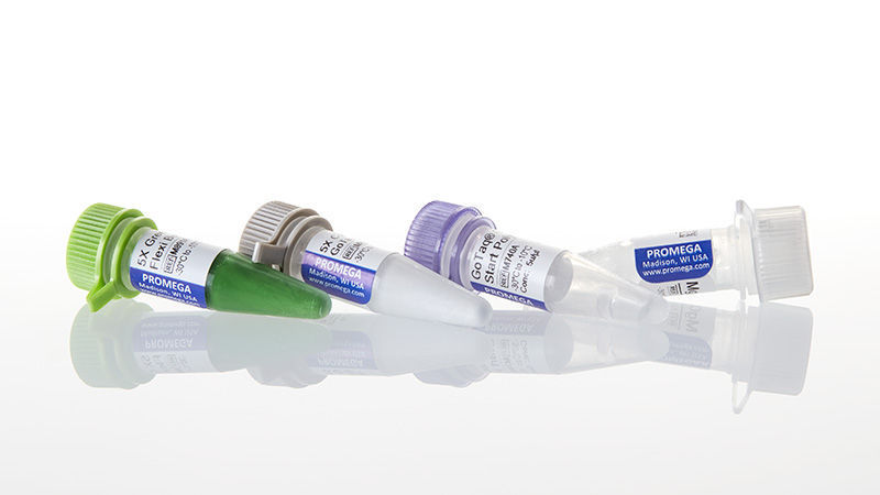 DNA polymerase reagent - GoTaq® G2 - Promega France - antibody / Taq ...