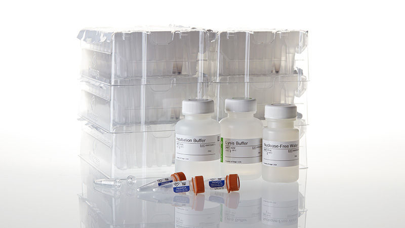 Proteinase K reagent kit - Maxwell® - Promega France - tissue / for DNA ...