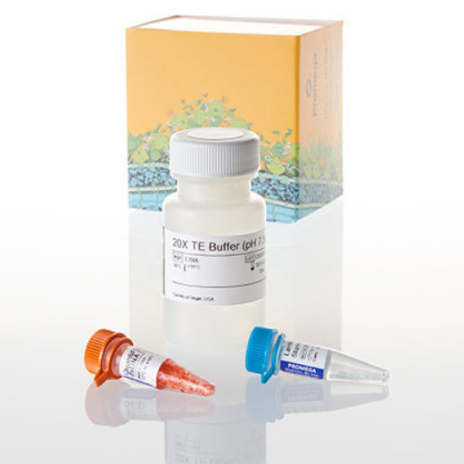 Solution reagent - QuantiFluor® - Promega France - dye / for research ...