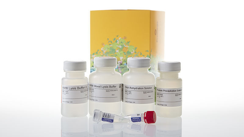 Solution reagent kit - Wizard® HMW - Promega France - blood sample ...