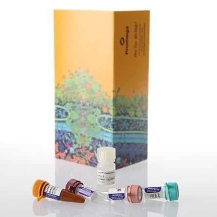 Research assay kit - Lumit® - Promega France - cell / immunoassay