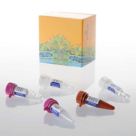 Taq DNA polymerase reagent - GoTaq® Probe - Promega France - for ...