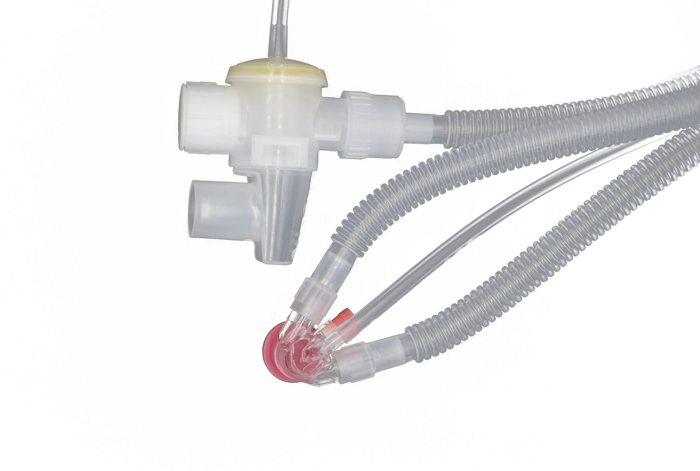 Infant breathing circuit - 20011N - Bio-Med Devices
