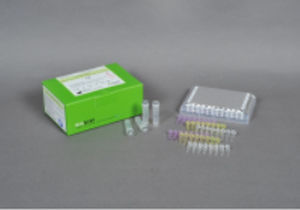 Infectious disease test kit - AccuPower® - Bioneer Corporation - virus ...