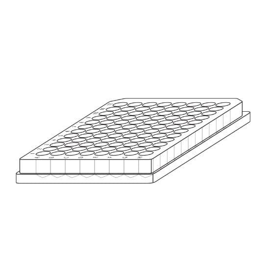 Laboratory microplate - 9006 series - Bioneer Corporation - HTS / 96 ...