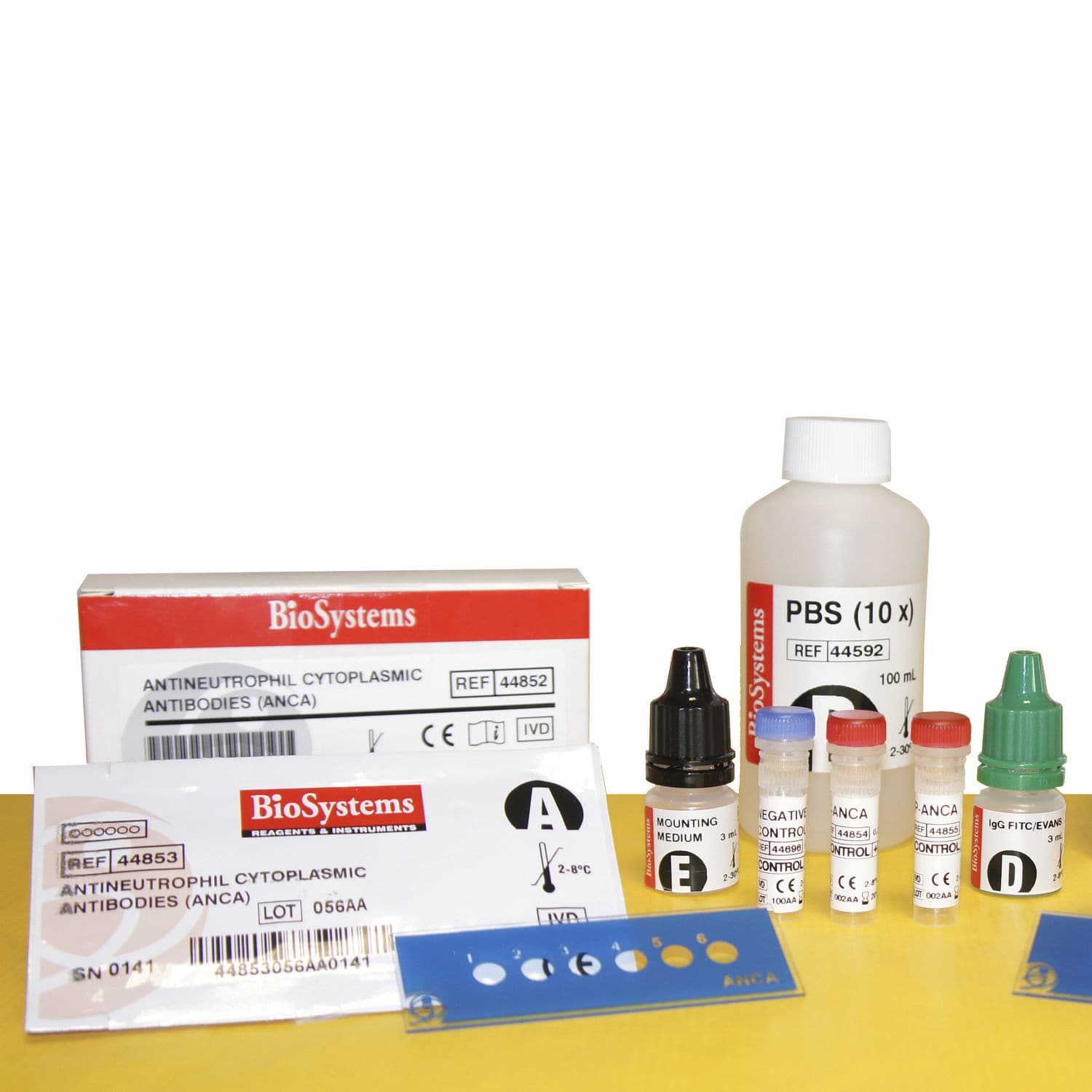 Immunofluorescence reagent - BioSystems S.A.