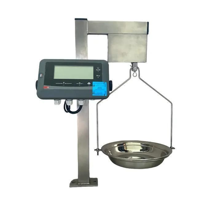 Electronic autopsy weighing scale - EIHF-ISOFROID - for hospitals ...