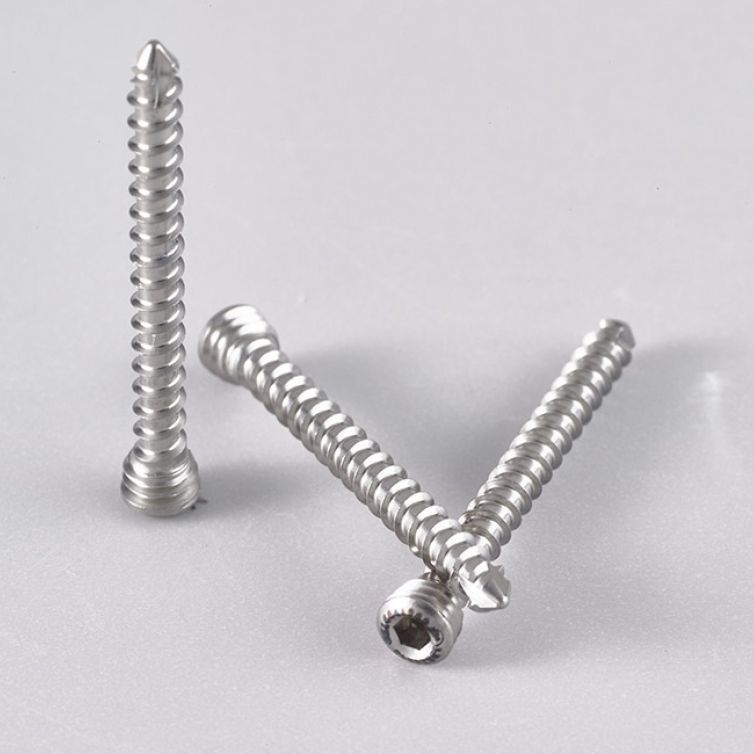 General purpose compression bone screw - Taeyeon Medical - metallic ...