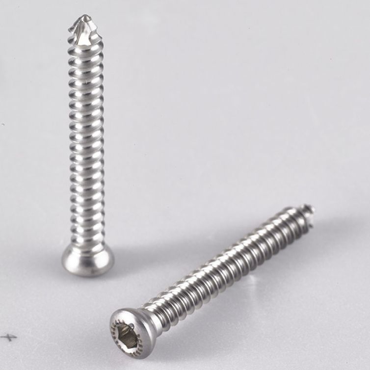 General purpose compression bone screw - Taeyeon Medical - metallic ...