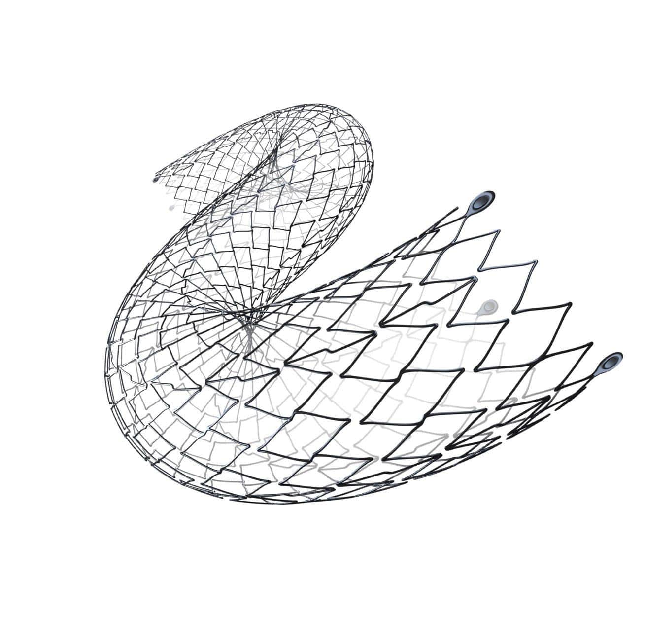 Iliac artery stent - BMS S.E. – Easy HiFlype - Alvimedica - nitinol ...