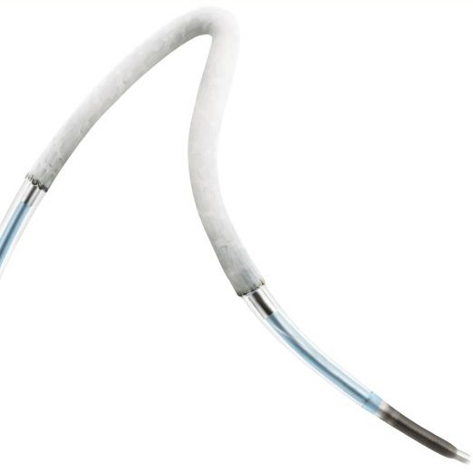 Coronary arteries stent - PK Papyrus - Biotronik