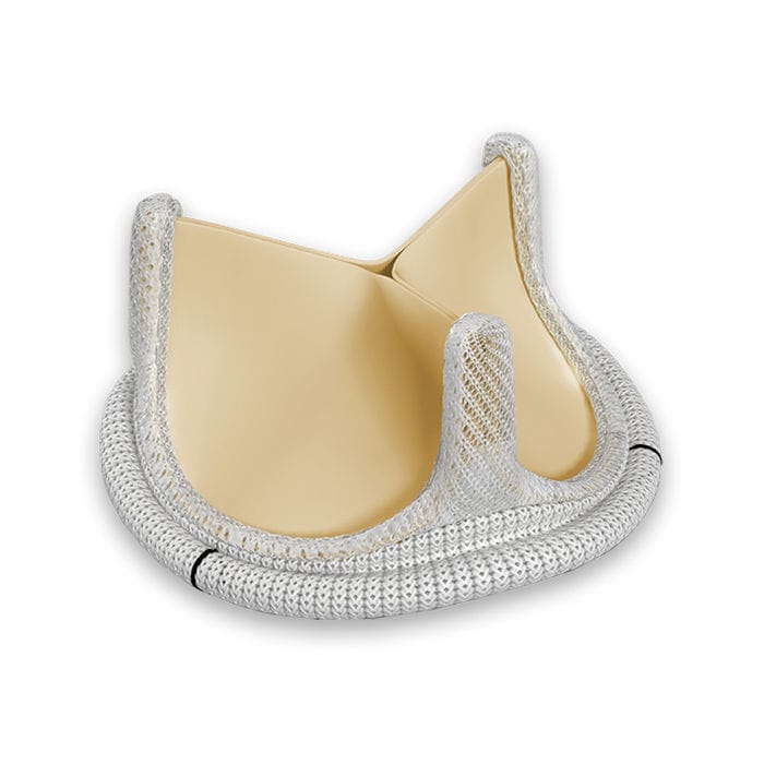 Aortic valve bioprosthesis - PERIMOUNT - Edwards Lifesciences - bovine ...