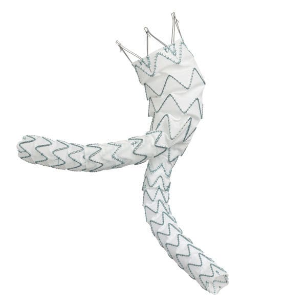 Abdominal aorta stent graft - TREO® - Terumo Aortic