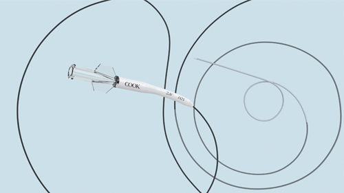 Access microcatheter - Cantata® - COOK Medical - coronary / peripheral ...