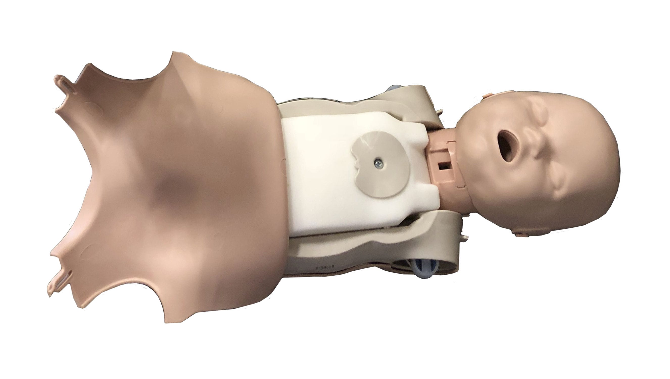 Cpr Training Manikin Professional Single Pp Im 100m Ms Prestan