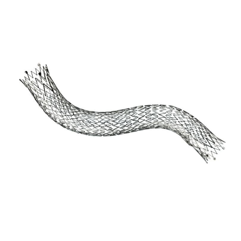 Femoral artery stent - LIFESTENT® 5F - Bard Medical