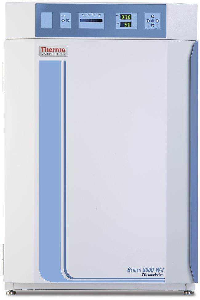 CO2 laboratory incubator - 8000 - Thermo Scientific - for cell cultures ...