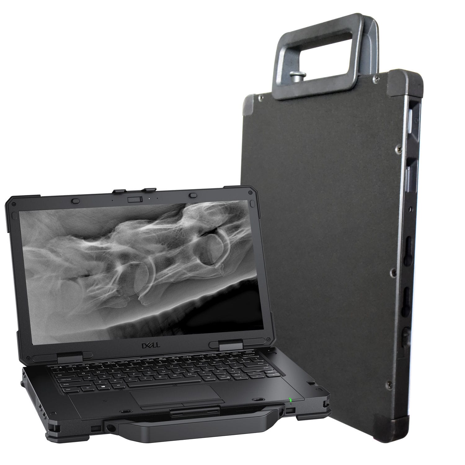 Veterinary radiography acquisition system - ConnectDR - IMV imaging ...