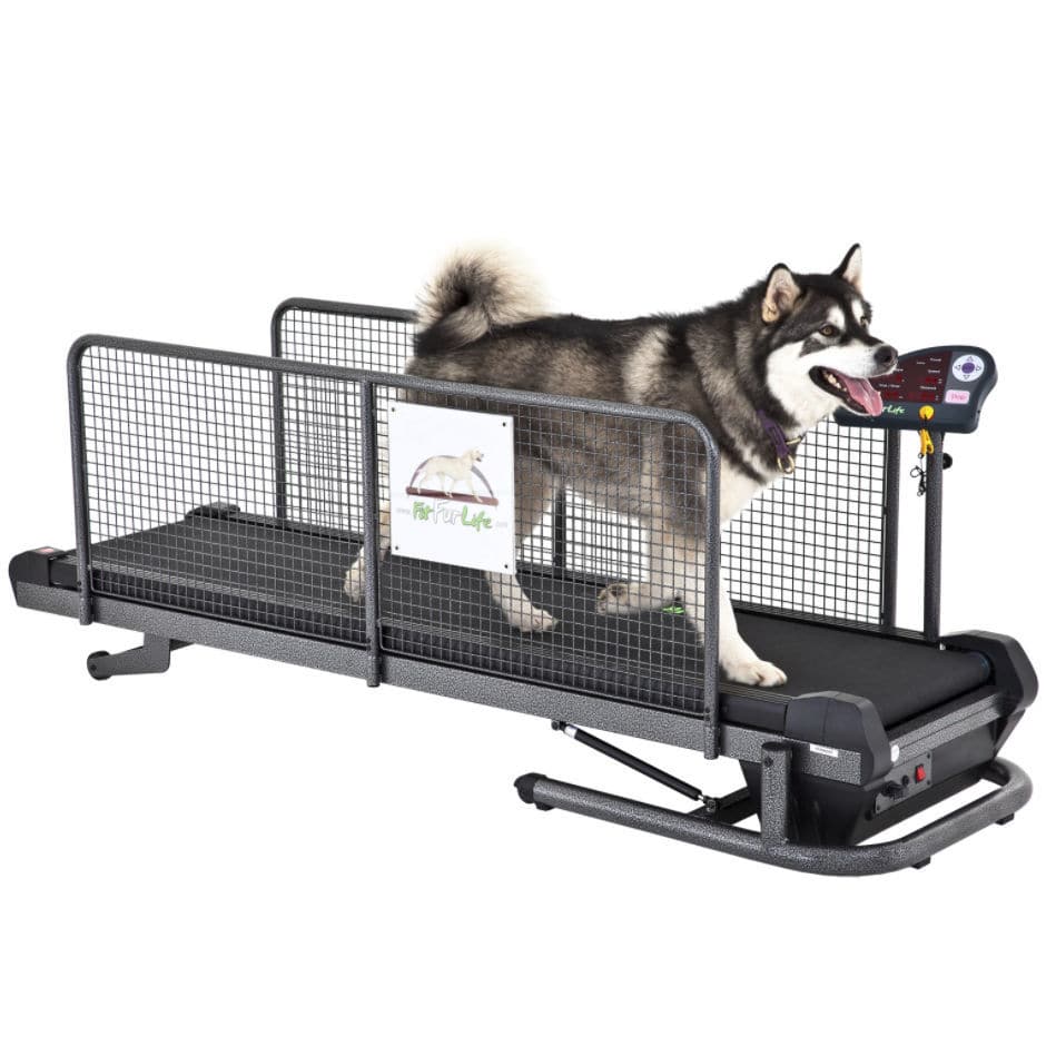 Dog veterinary treadmill - Superior - Fit Fur Life Ltd
