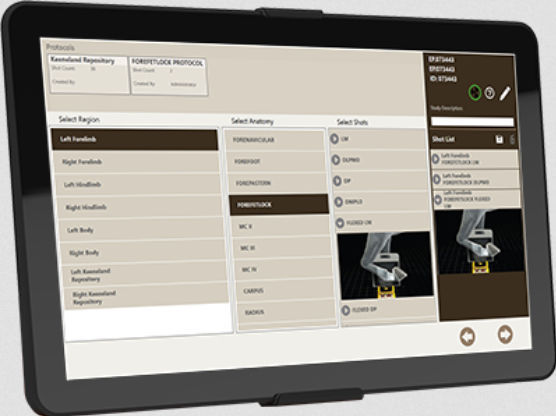 Veterinary X-ray system - NEXT Equine DR™ - Sound - digital / portable