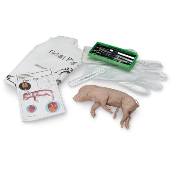 Fetal Pig Diagram Frey Scientific Mini Guide To Pig Dissection,