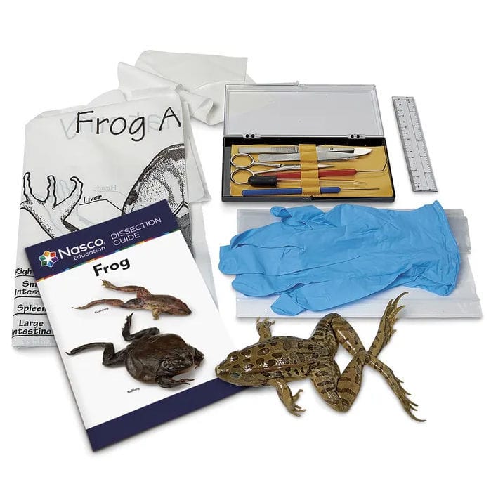 Dissection simulator - LS03850 - Nasco - anatomy / for general care / kit