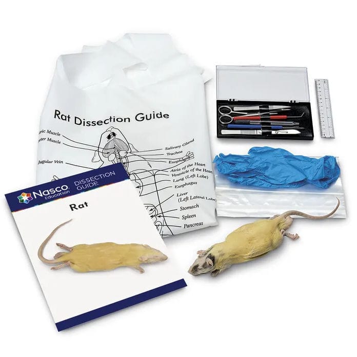 Dissection simulator - LS03848 - Nasco - anatomy / for general care / kit