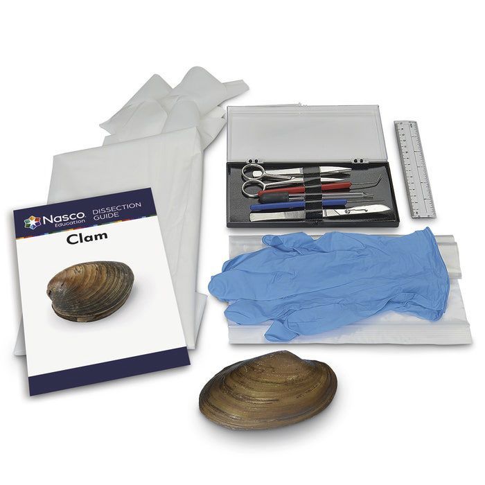Dissection simulator - LS03861 - Nasco - anatomy / kit / latex-free
