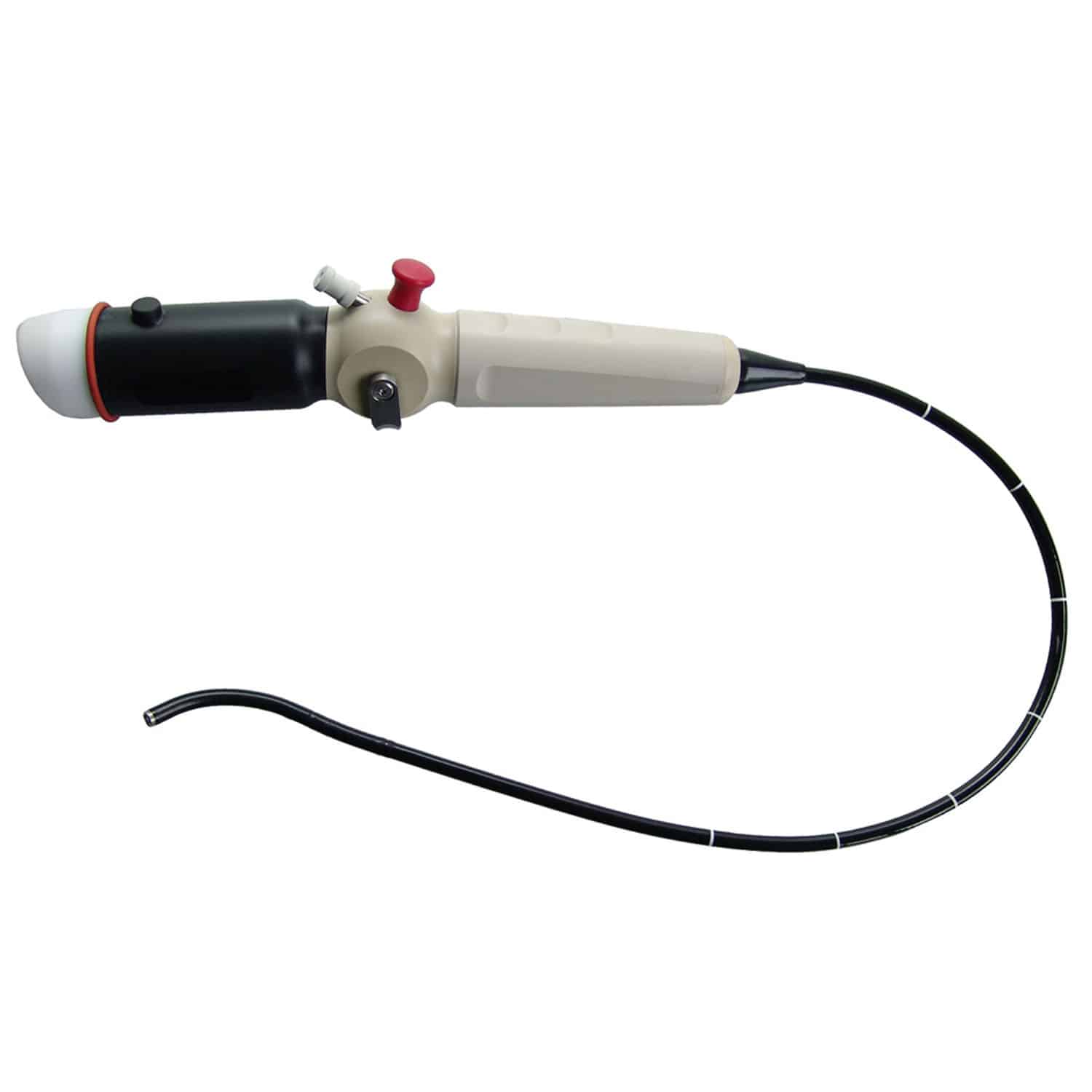 Video veterinary bronchoscope - TXBH5-76V - Dr. Fritz - for small ...