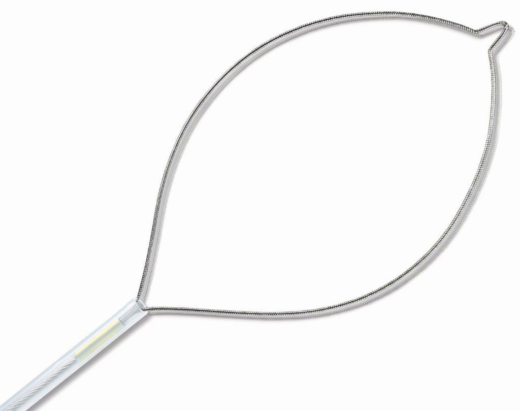 Intestinal polyp extraction endoscopic basket - AS2865023 - STERIS ...