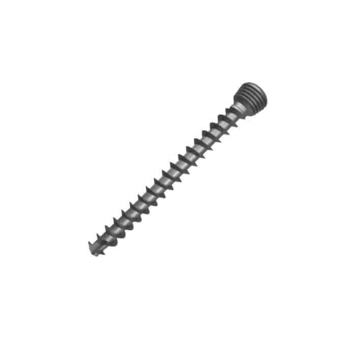 Large bone fragment compression bone screw - A33 series - Aysam ...