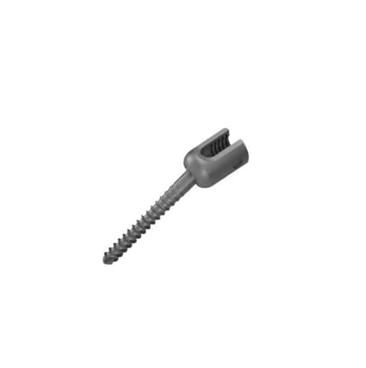 Polyaxial pedicle screw - A810 series - Aysam Orthopaedics - titanium