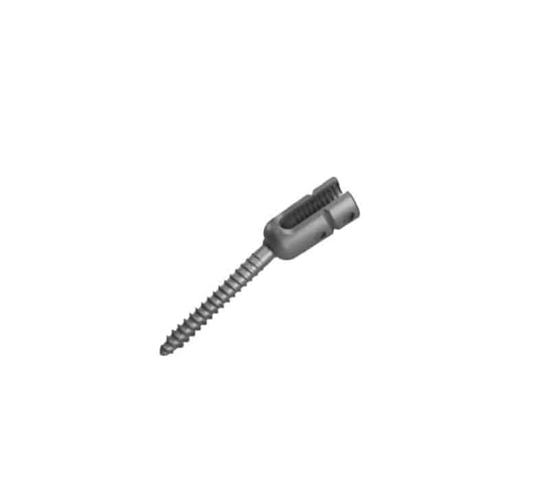 Polyaxial pedicle screw - Aysam Orthopaedics - titanium