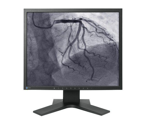 OR display - CuratOR® LS1910 - EIZO GmbH - medical imaging / diagnostic / 1280 x 1024
