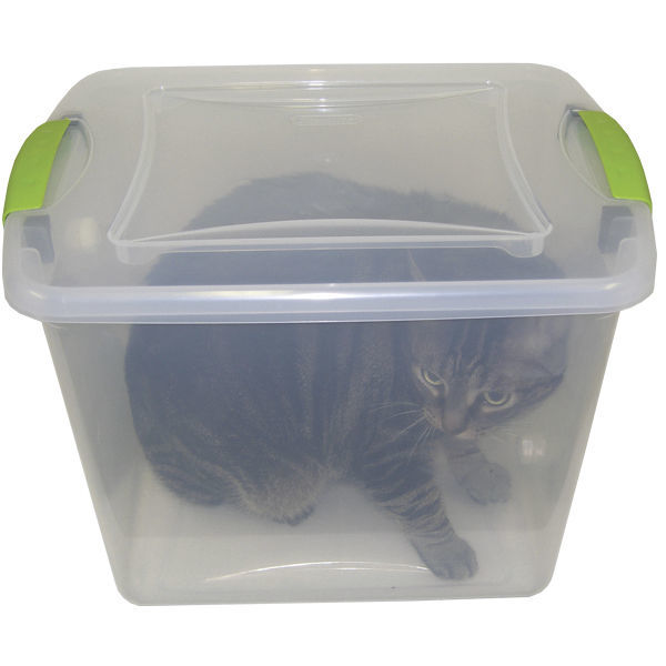 Anesthesia induction chamber - 90200 - A.M. Bickford