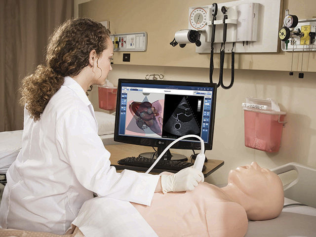 Echocardiography patient simulator / training / torso / augmented ...