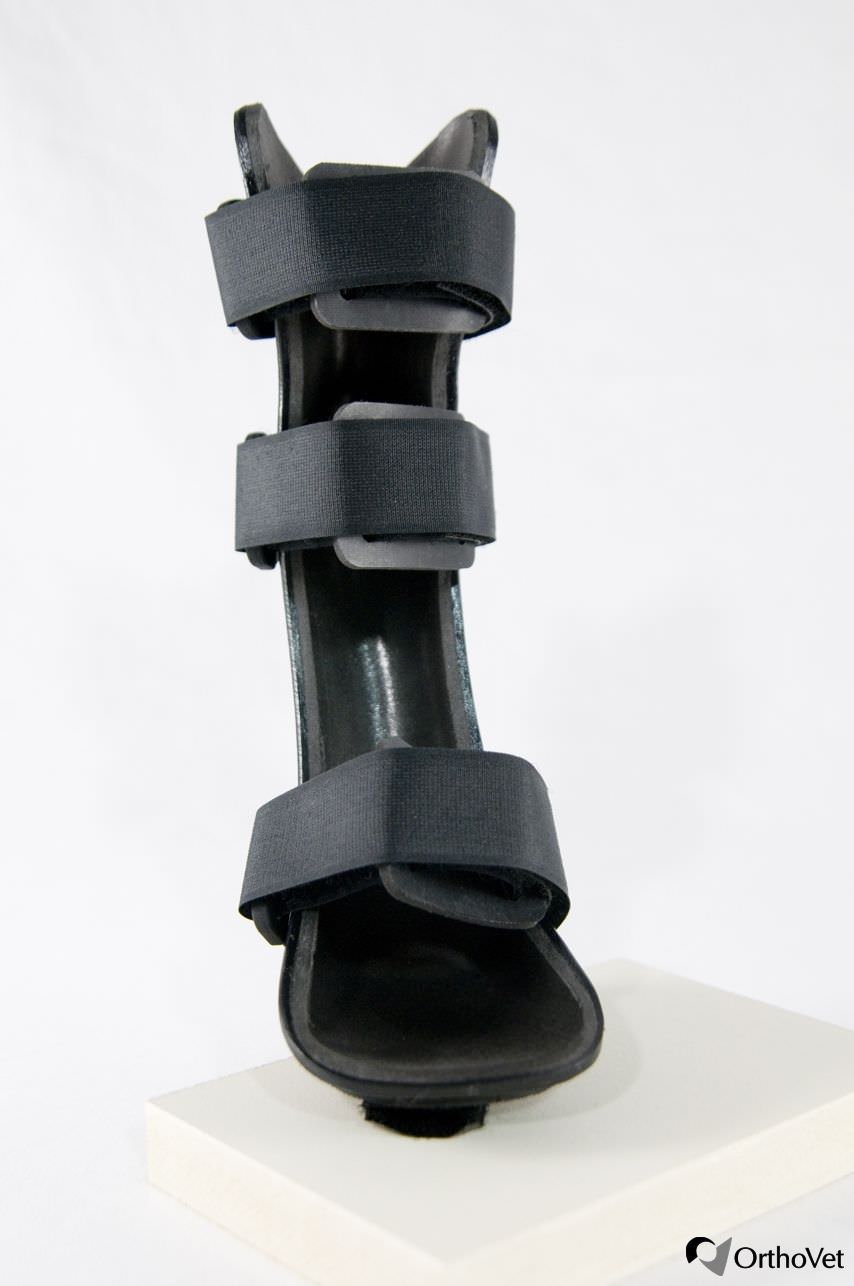 Paw veterinary splint - Rear - OrthoVet - for canines