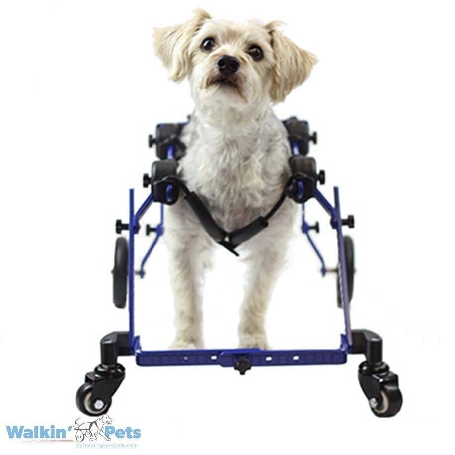 Dog's veterinary wheelchair - Full Support/4-Wheel MINI - Walkin' Pets