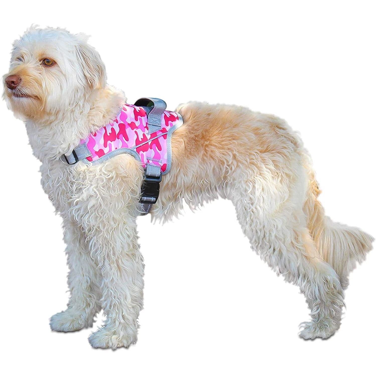 Raising sling - Walkin’ Warrior Front Harness - Walkin' Pets - for dogs