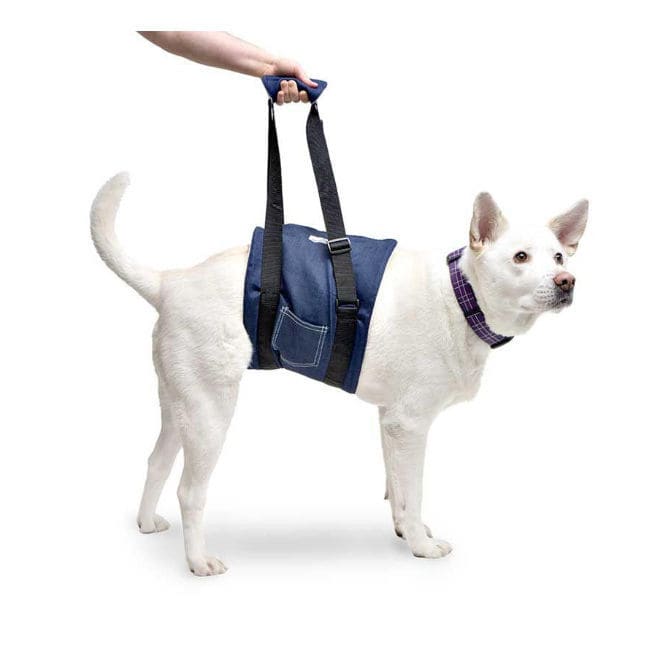 Walking sling - Walkin’ Support - Walkin' Pets - rehabilitation / leg ...