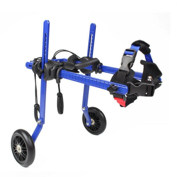 Dog's veterinary wheelchair - Walkin' Wheels® MINI - Walkin' Pets