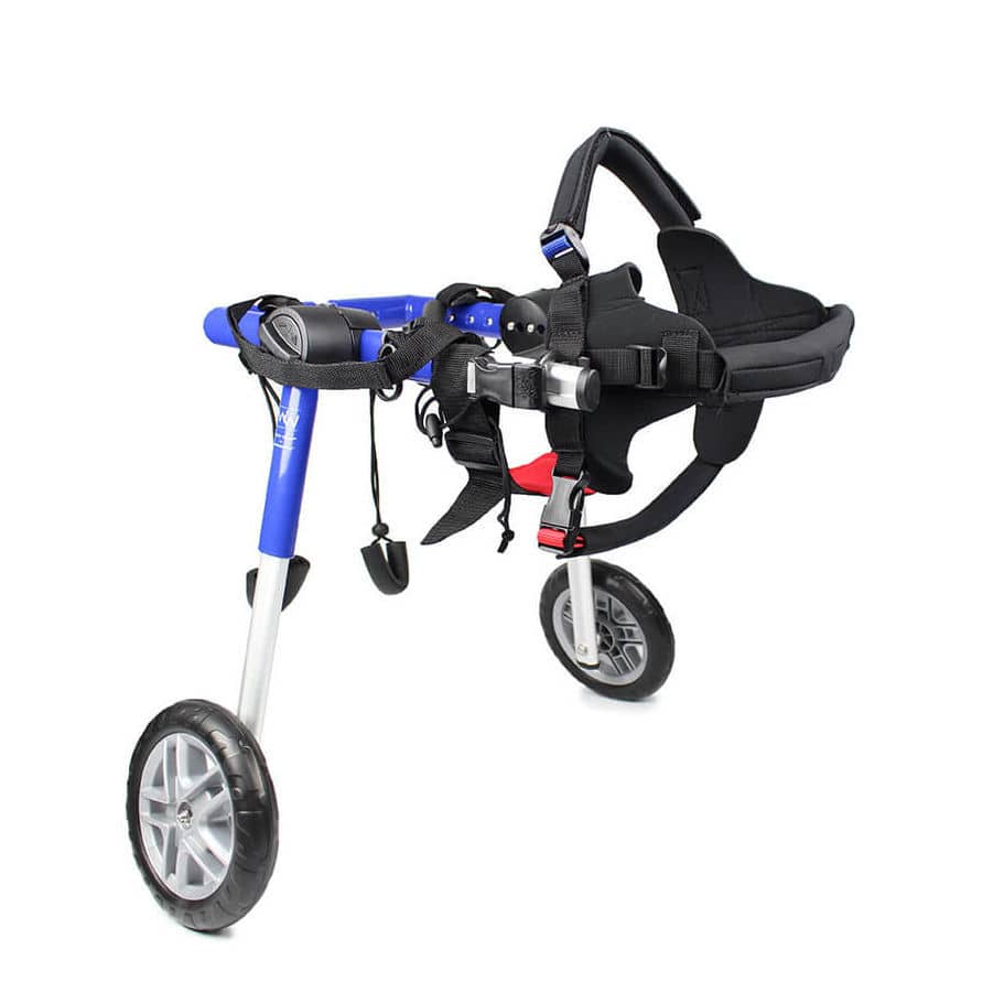 Dog's veterinary wheelchair - Walkin' Wheels® MEDIUM - Walkin' Pets