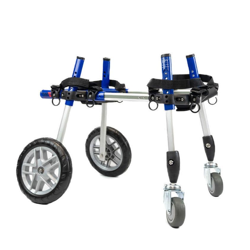 Dog's veterinary wheelchair - Walkin’ Wheels Full Support/4-Wheel SMALL ...