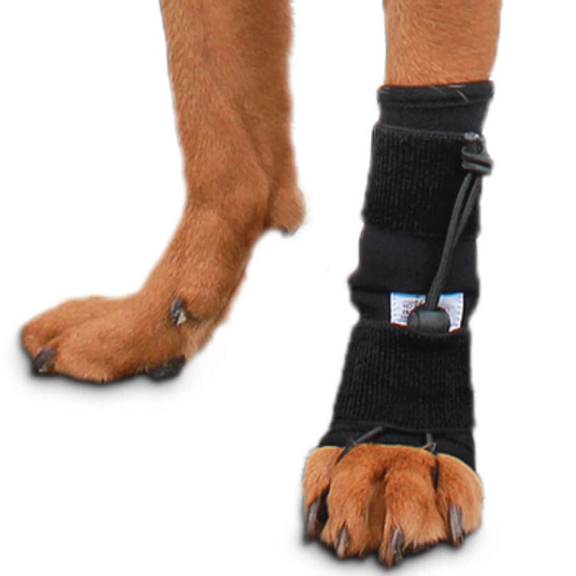 Paw veterinary splint - Front No-Knuckling - Walkin' Pets - for dogs