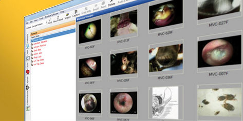 Visualization software - VetScope - Otopet USA - acquisition / for archiving / sharing
