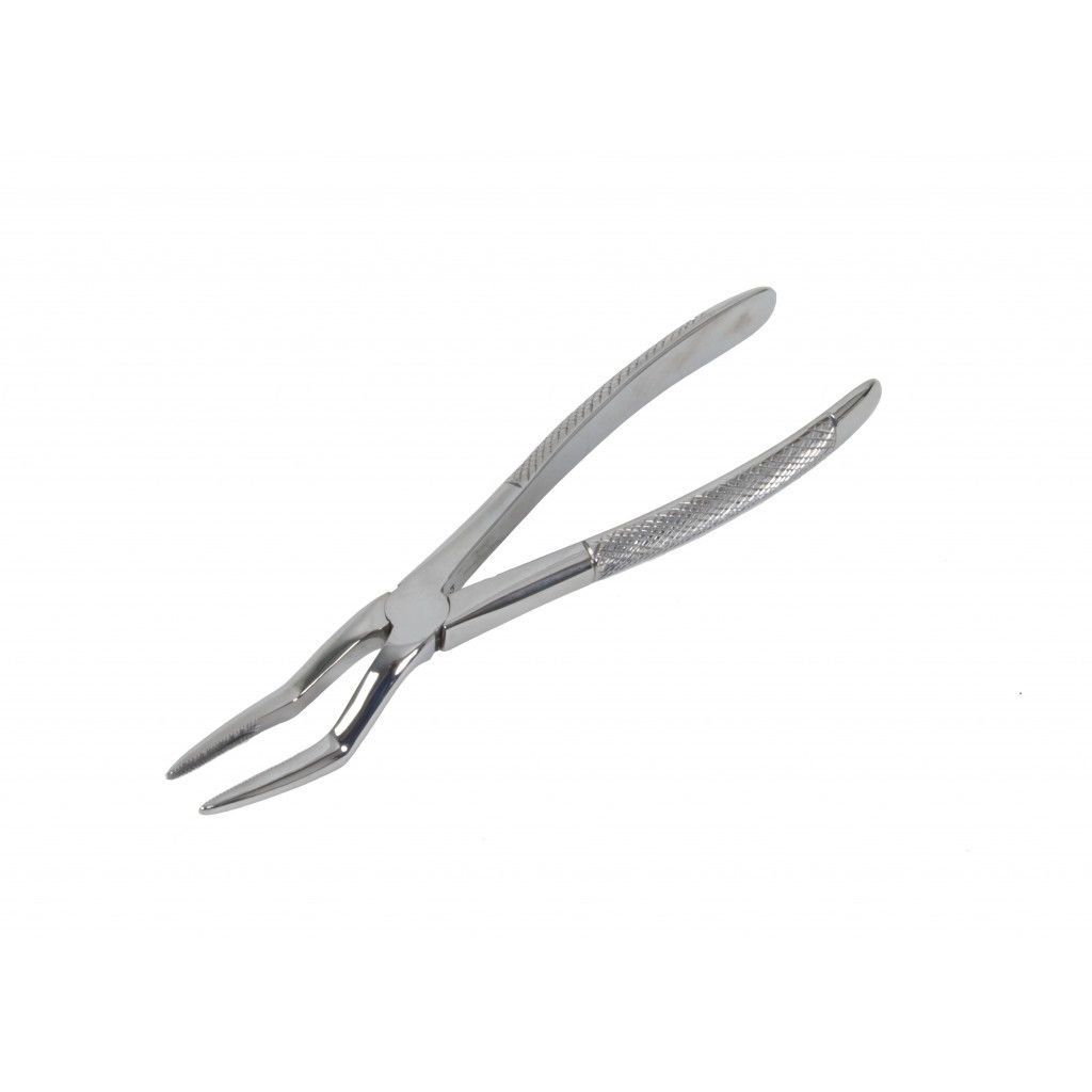Veterinary dentistry forceps - DAV-DCDL8 - Equus Dental - dental ...