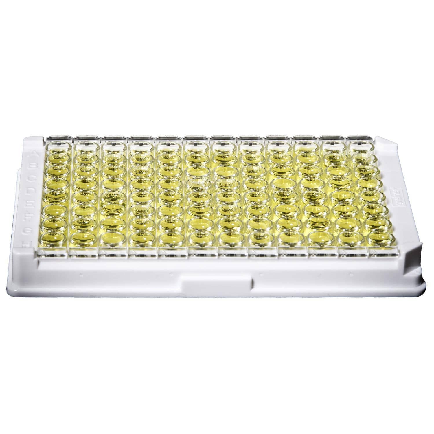 Herpes assay kit - EL0910G - Gold Standard Diagnostics - HSV / ELISA