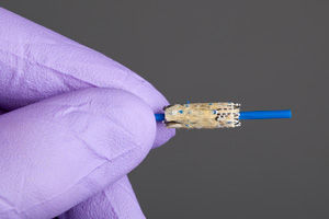 Aortic valve bioprosthesis - Colibri - Colibri Heart Valve - porcine ...