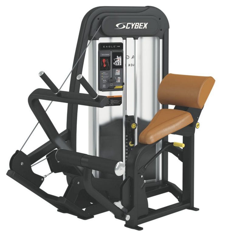 Back extension gym station - Eagle NX - Cybex